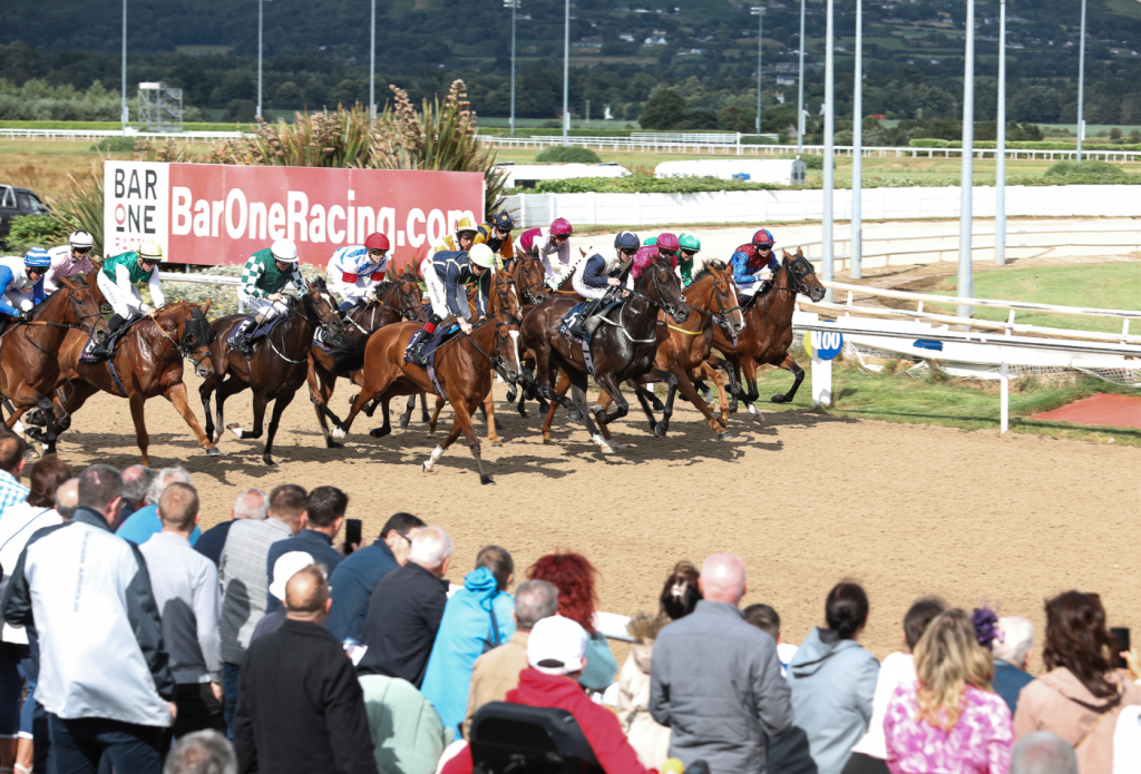 Dundalk Stadium Gears Up for Summer Meeting Following Final Dual Racing ...