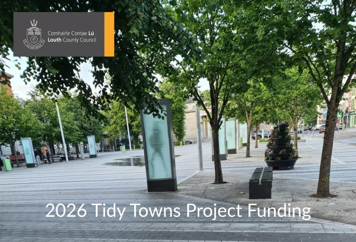 Louth County Council Announces 2026 Tidy Towns Project Funding ...
